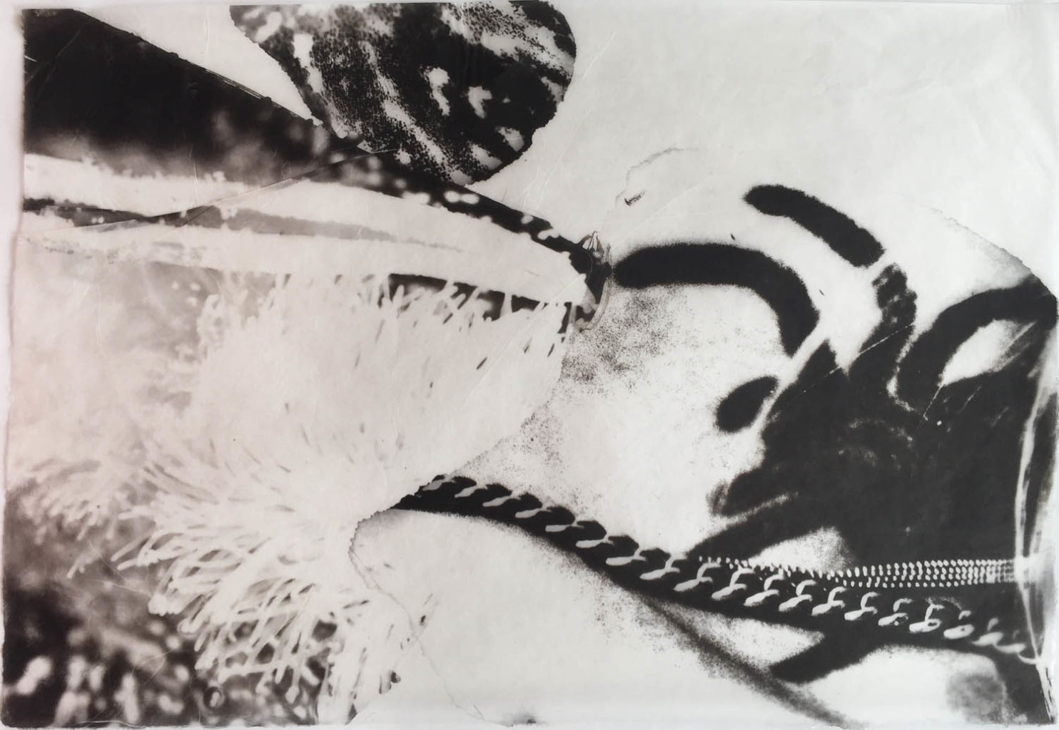 Spiders Then and Now - Alice Garik